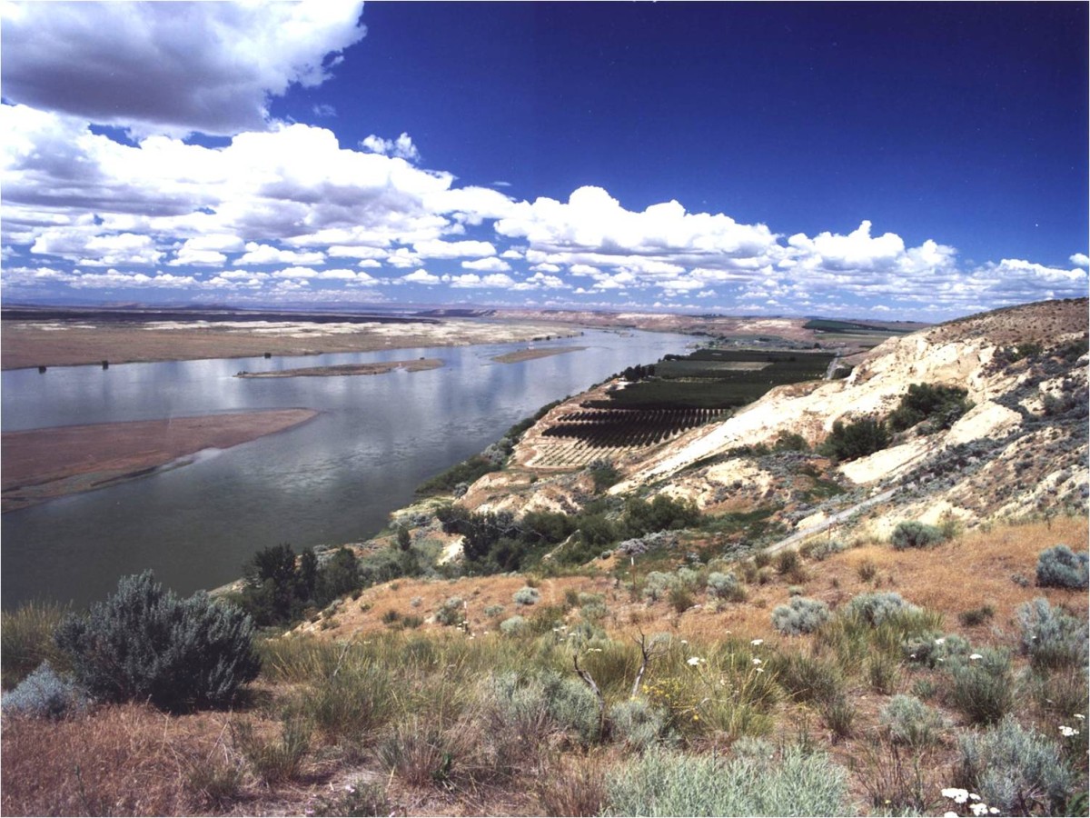 Claar Cellars - Free Run Wine Merchants