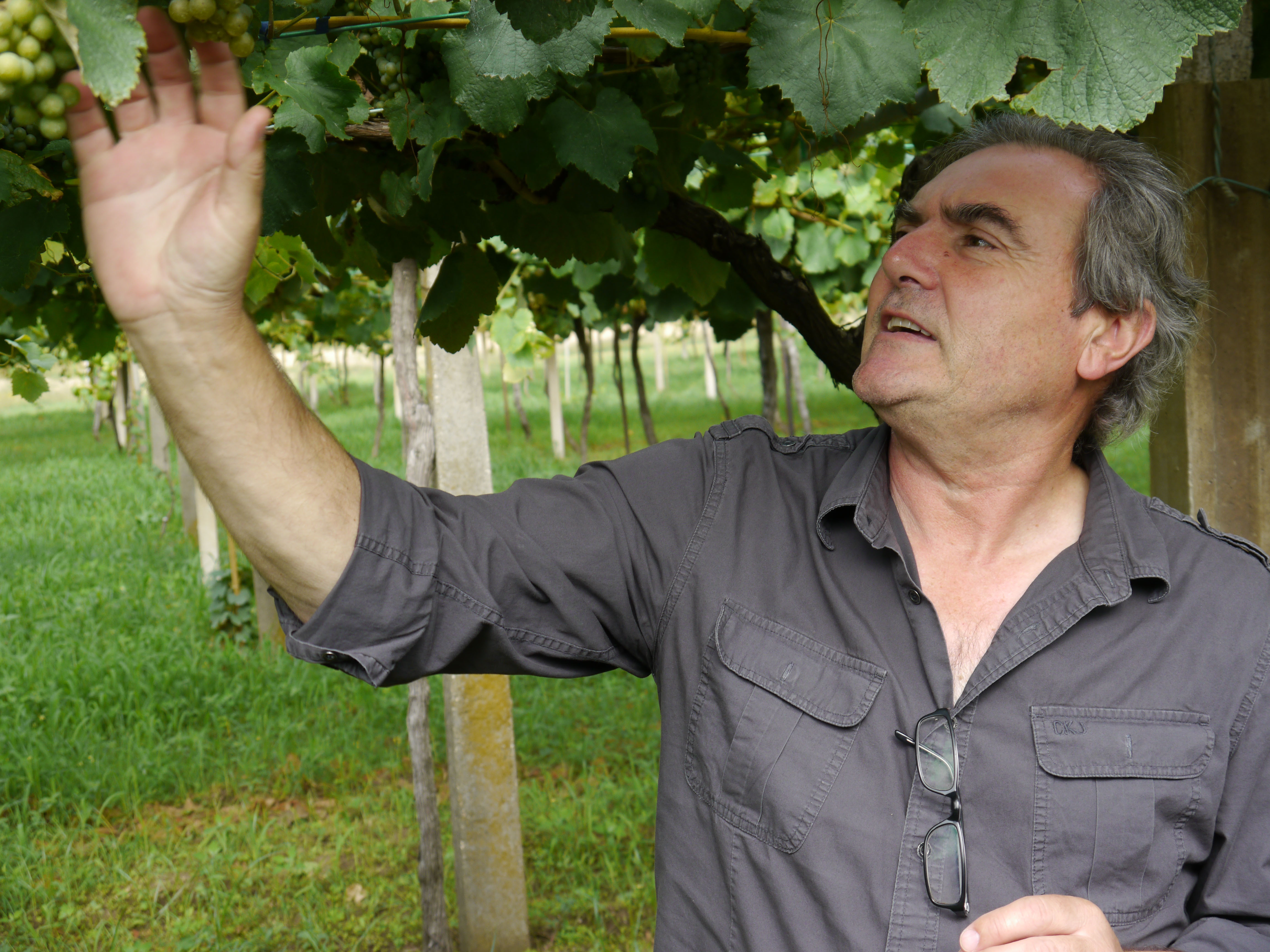 Do Ferreiro - Free Run Wine Merchants