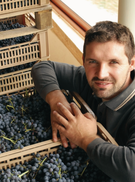 L'Arco - Free Run Wine Merchants