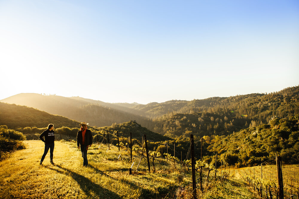 Forlorn Hope - Free Run Wine Merchants