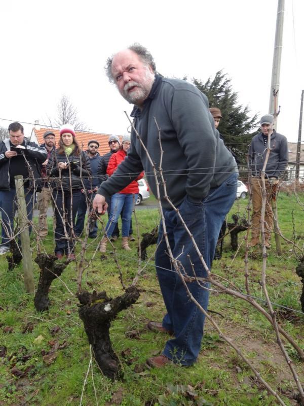Domaine de la Pépière - Free Run Wine Merchants