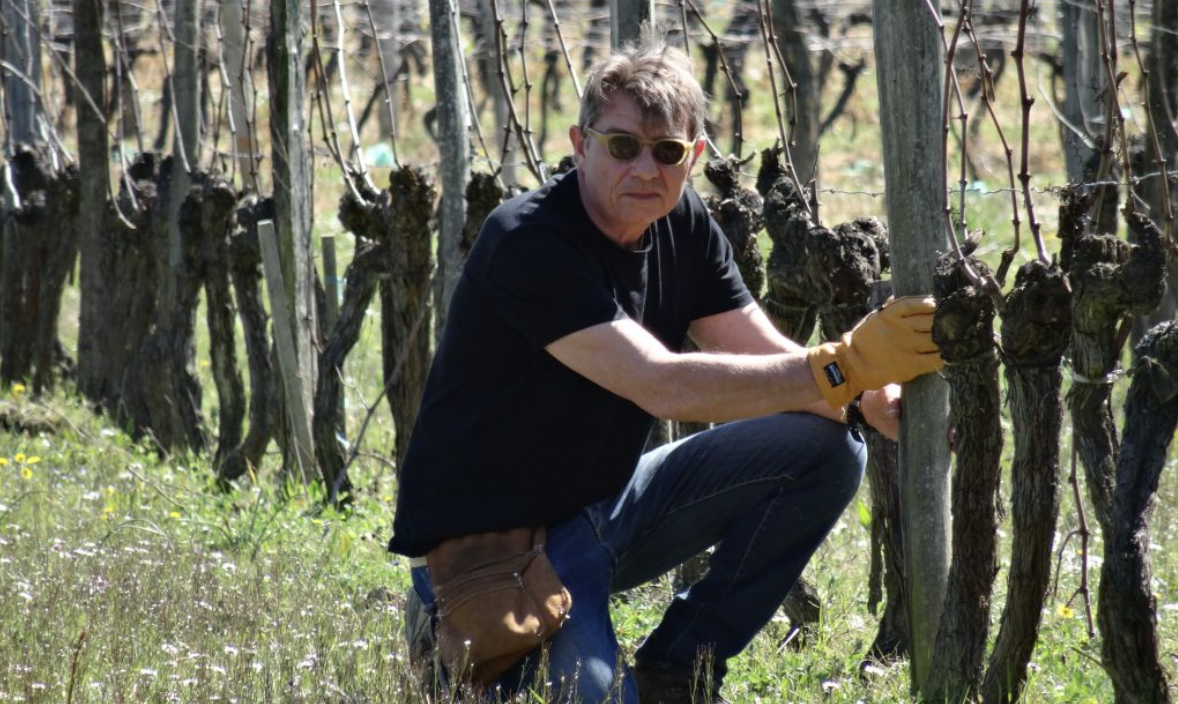 Cassini - Free Run Wine Merchants