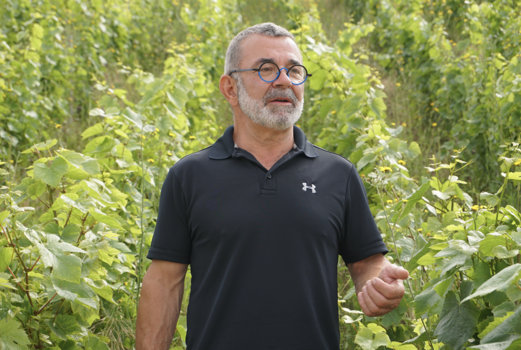 Champagne Christian Gosset - Free Run Wine Merchants